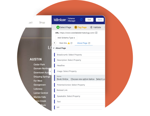Schema Editor Milestone Inc