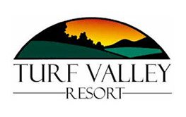 Schema Case Studies, SEO Success Stories Milestone