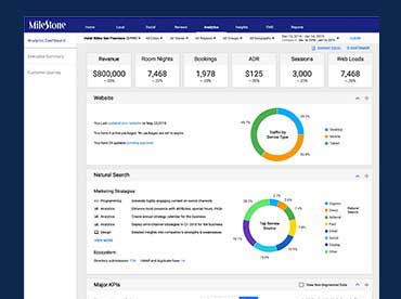 Digital Marketing Platform, CMS, Schemas AMP